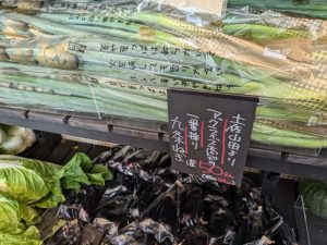 やさいとくだもの Lime land(ライムランド)基本100円おしゃれな八百屋さん | ねむり猫のゆるゆる高知暮らし